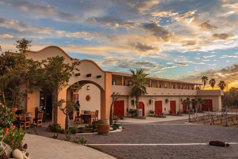 From La Playa: Vineyard Tour w/ Tasting & Todos Santos Stop - Key Points