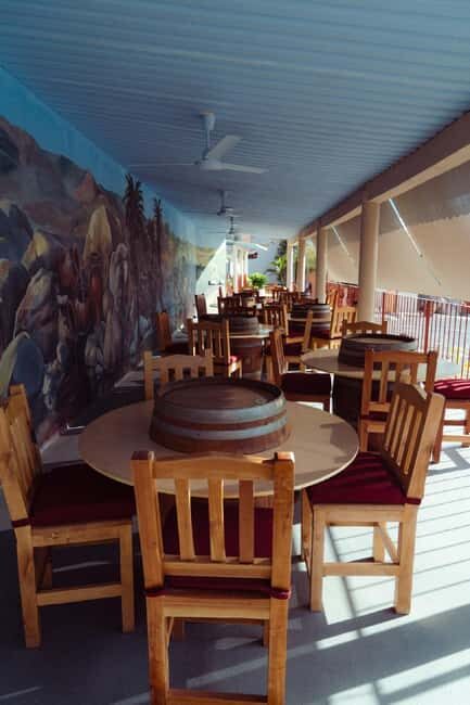 From La Playa: Vineyard Tour w/ Tasting & Todos Santos Stop - The Details That Matter