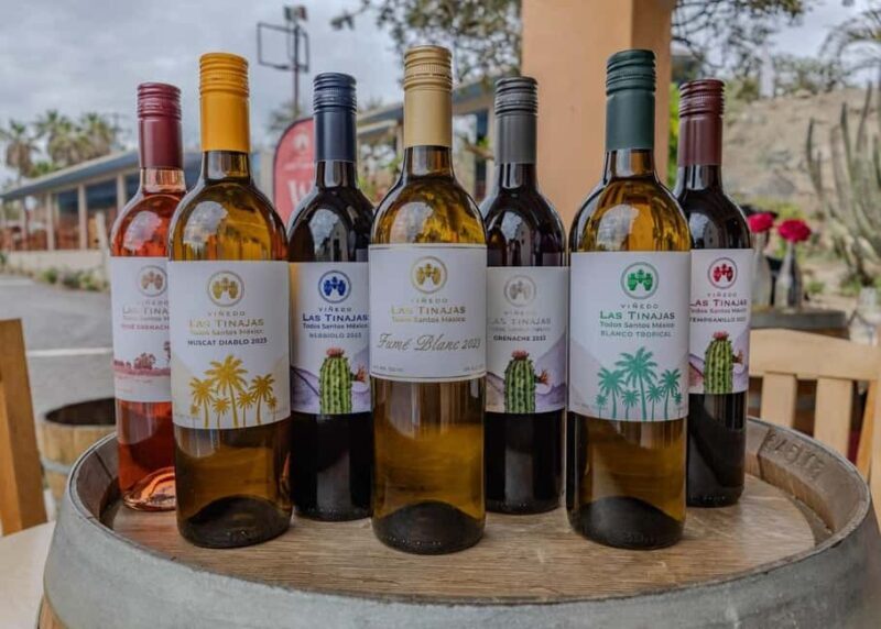 From La Playa: Vineyard Tour w/ Tasting & Todos Santos Stop - Why This Tour Works