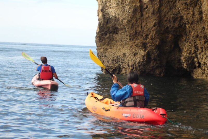 From Lagos: Algarve Coast and Caves by Kayak - Key Points