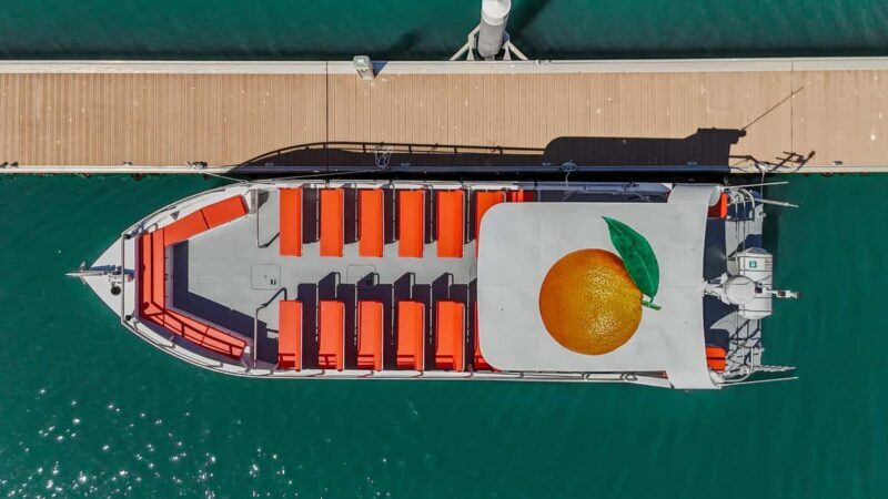 FROM LAGOS: BENAGIL AND DOLPHIN WATCHING - JETBOAT - Key Points