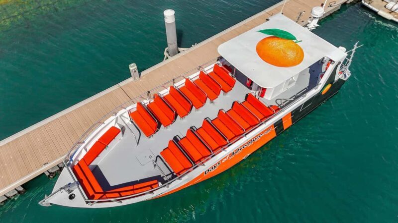 FROM LAGOS: BENAGIL AND DOLPHIN WATCHING - JETBOAT - The Experience Itself: What to Expect from the Tour