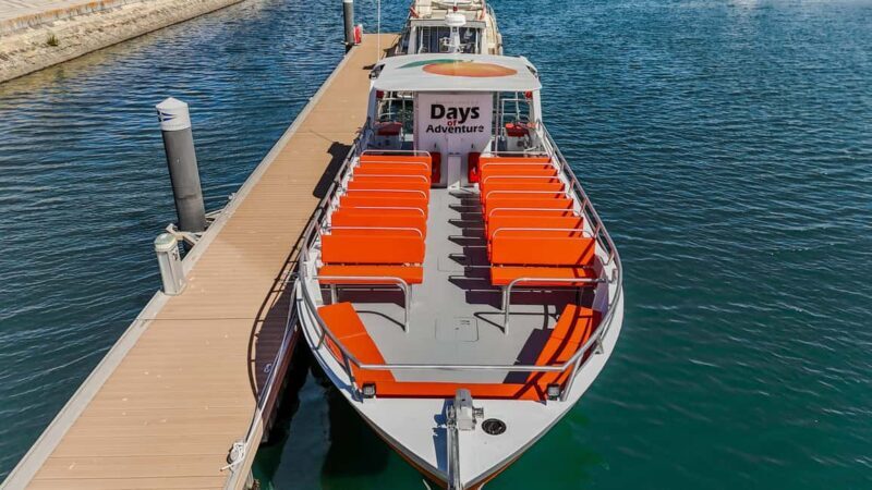 FROM LAGOS: BENAGIL AND DOLPHIN WATCHING - JETBOAT - Pricing and Value