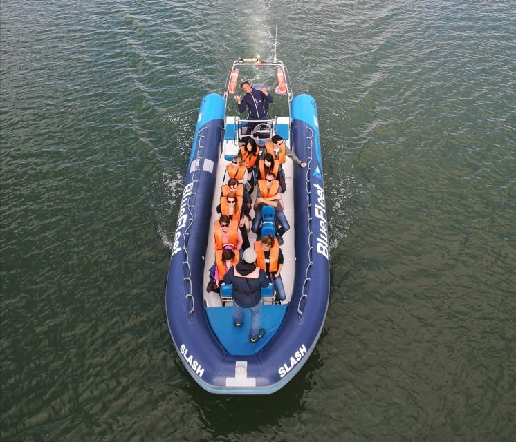 From Lagos: Dolphin Watching Boat Trip w/Marine Biologists - FAQs