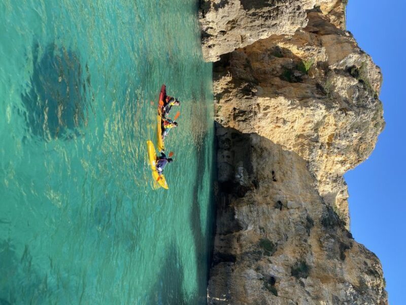 From Lagos: Kayak Experience in Ponta da Piedade - Who Will Love This Tour?