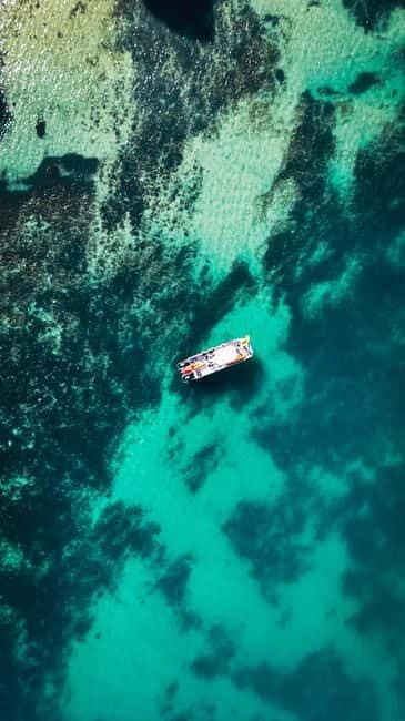 From Lagos: Ponta da Piedade Caves Kayak Tour from Catamaran - Setting off from Lagos: What to Expect