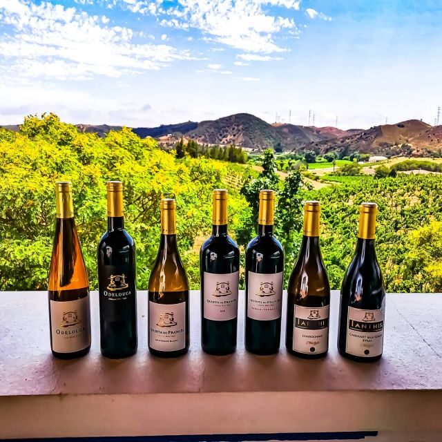 From Lagos: Small-Group 4-Hour Wine Tasting Tour - From Lagos: Small-Group 4-Hour Wine Tasting Tour — An Authentic Algarve Experience