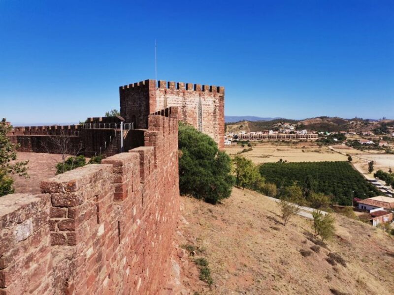 From Lagos: Small-Group 4-Hour Wine Tasting Tour - Is the Price Worth It?