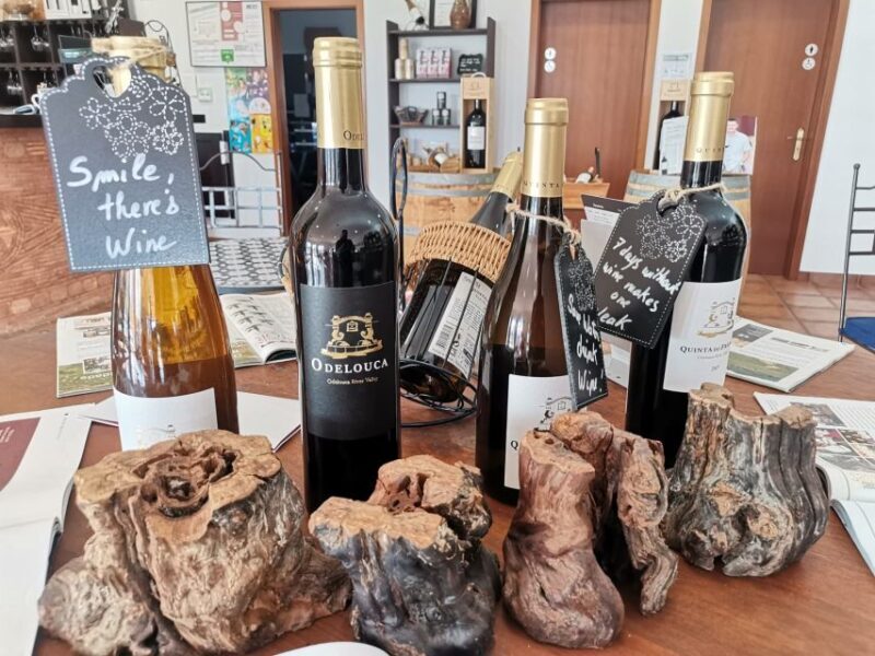 From Lagos: Small-Group 4-Hour Wine Tasting Tour - The Sum Up: The Real Value of the Algarve Wine Tour