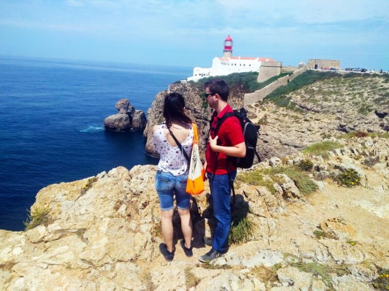 From Lagos: Wild and Wonderful West Coast Full-Day Tour - Exploring the Algarve’s Wild Coast: What to Expect