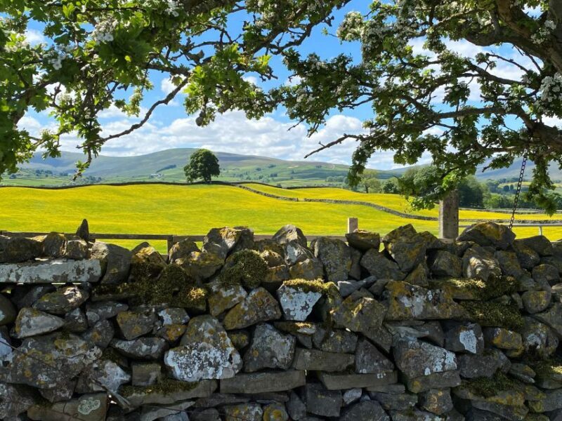 From Lake District: Full-Day Yorkshire Dales Tour - Practical Details & What to Expect