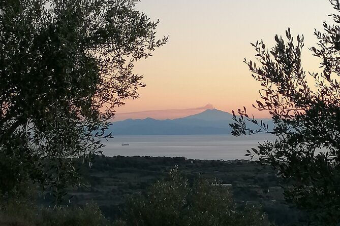 From land to oil with Calabrese tasting - The View and Atmosphere