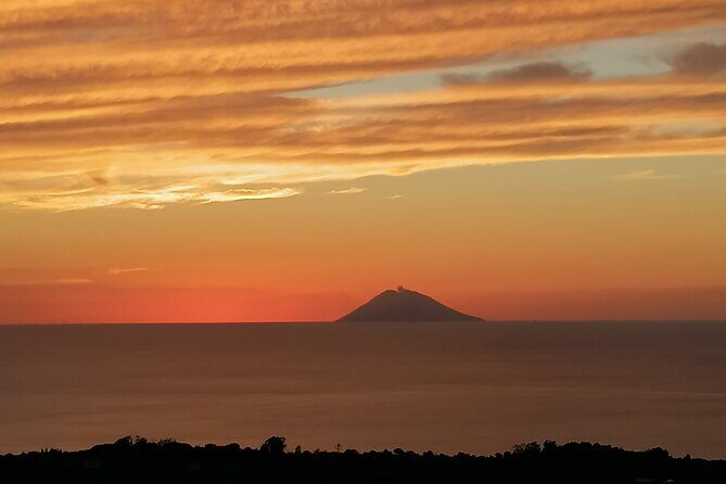 From land to oil with Calabrese tasting - Overall Value and Experience