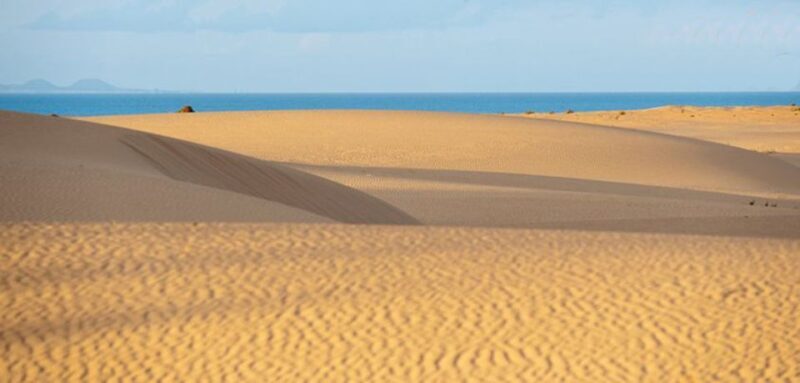 From Lanzarote: Corralejo Buggy Safari - Key Points
