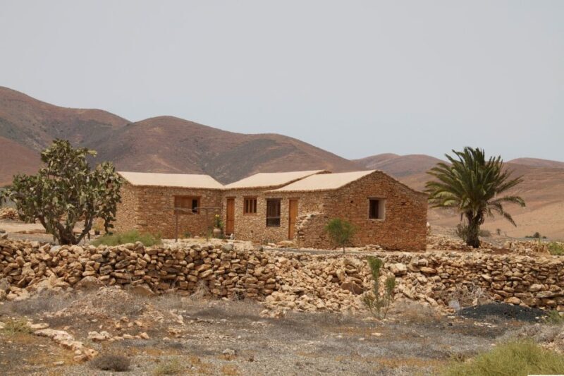 From Lanzarote: Fuerteventura Day Trip - Key Points