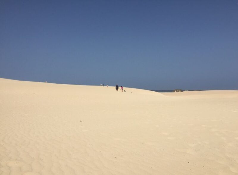 From Lanzarote: Fuerteventura Day Trip - In-Depth Look at the Itinerary