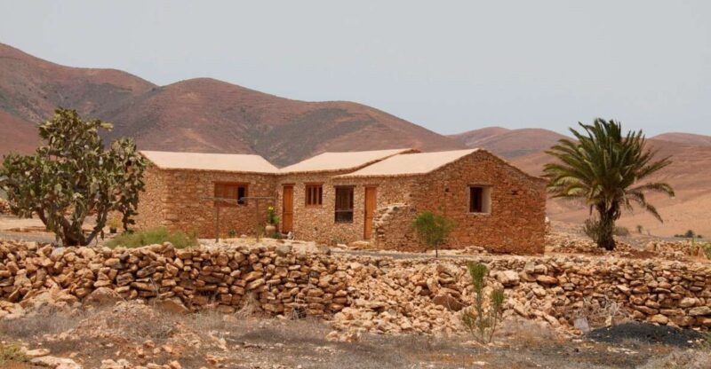 From Lanzarote: Fuerteventura Day Trip - Real Experiences from Travelers