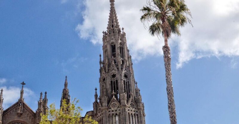 From Las Palmas: Full-Day Tour of the North - What Travelers Say