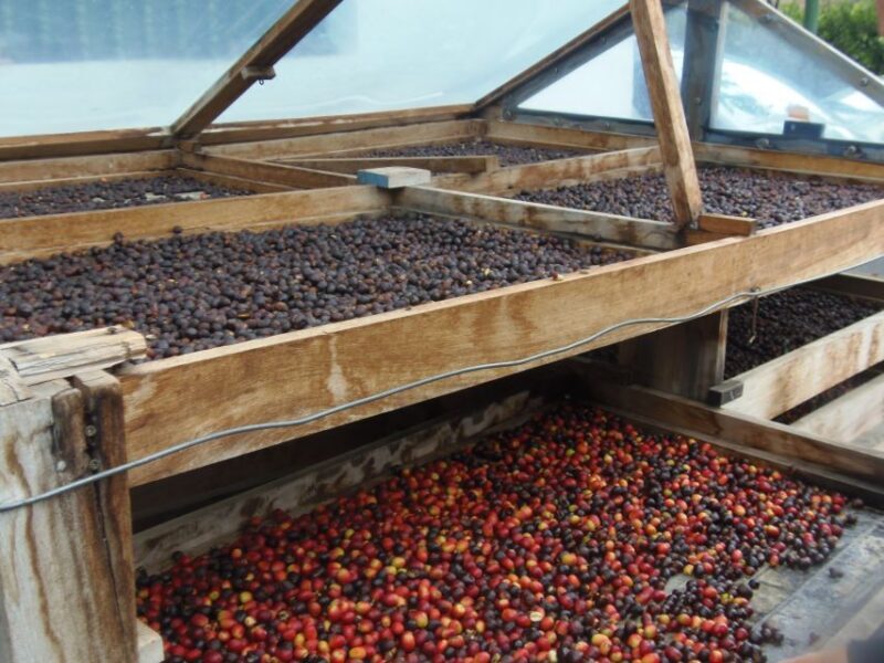 From Las Palmas: Full-Day Tour of the North - The Sum Up