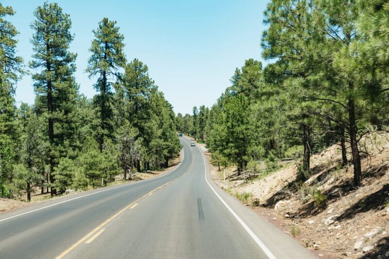 From Las Vegas: Grand Canyon South Rim Day Trip - Who Should Consider This Tour?