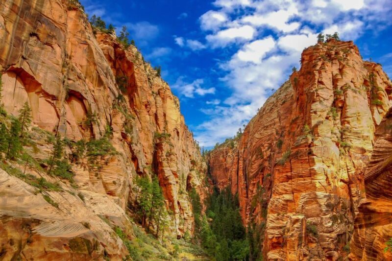 From Las Vegas: Zion and Bryce National Park Overnight Tour - Practical Details: What to Expect