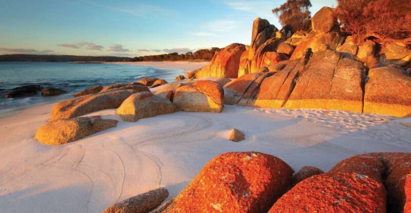 From Launceston: Bay of Fires Hiking Tour - 4 Days - Cost and Overall Value