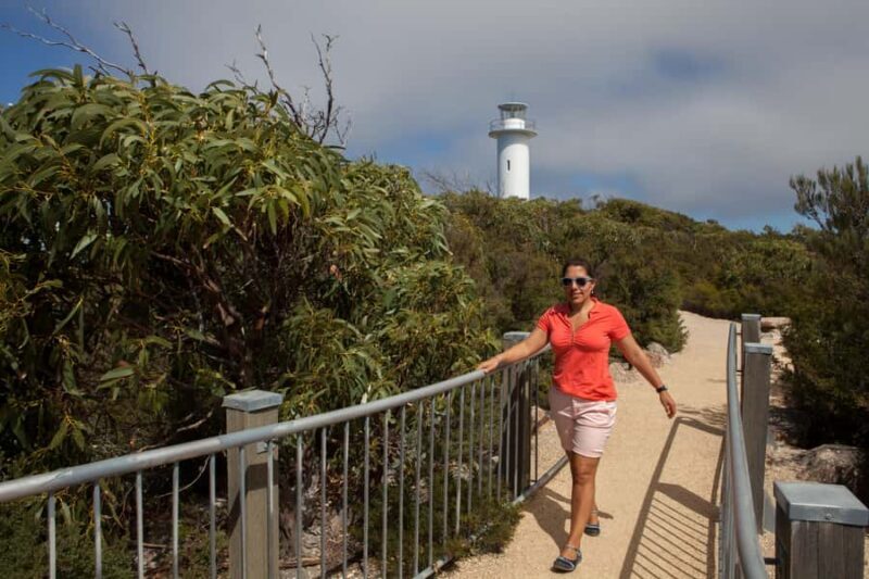 From Launceston: Full-Day Wineglass Bay Explorer Active Tour - The Scenic Highlights: Beaches and Lookouts