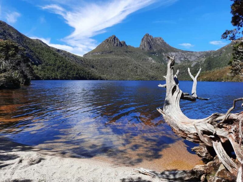 From Launceston: Sheffield Murals & Cradle Mountain Day Tour - Exploring Launceston’s Surroundings: What to Expect