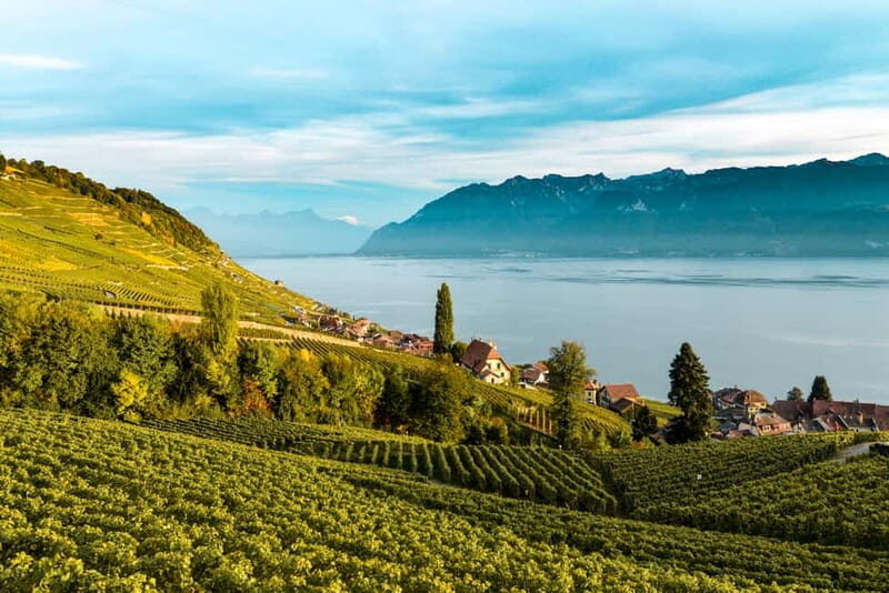 From Lausanne: Montreux, Chaplin, and Chillon Castle Tour - Key Points