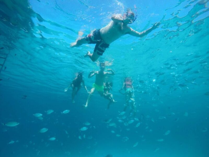 From Lefkimmi: Blue Lagoon and Syvota Village Cruise - Final Thoughts