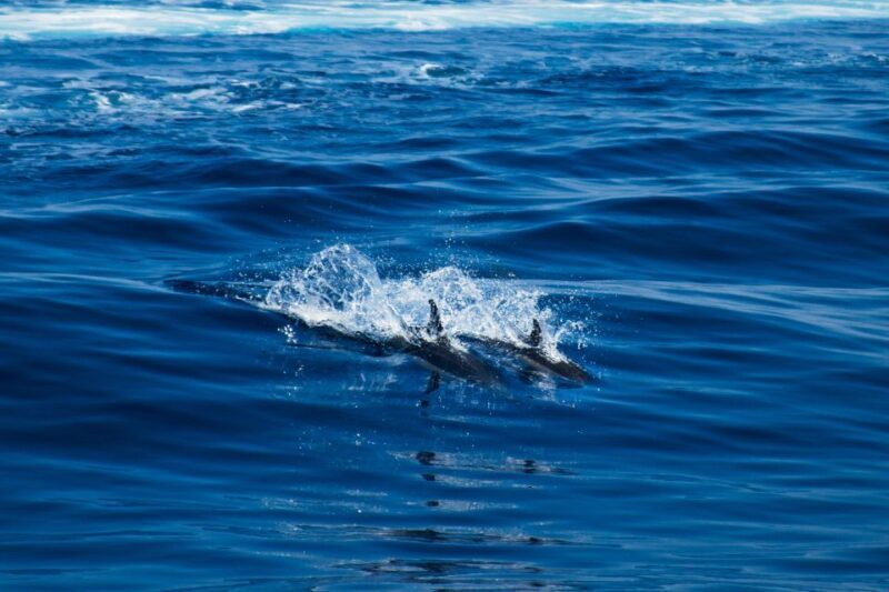 From Lefkimmi: Syvota, Blue Lagoon and Cave Sunset Cruise - FAQ