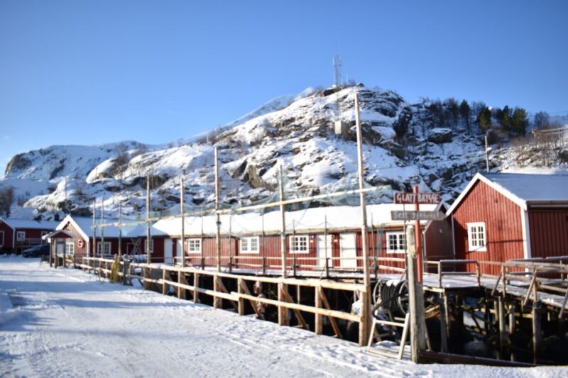 From Leknes City/Port: Private Lofoten Tour with Transfer - Final Thoughts
