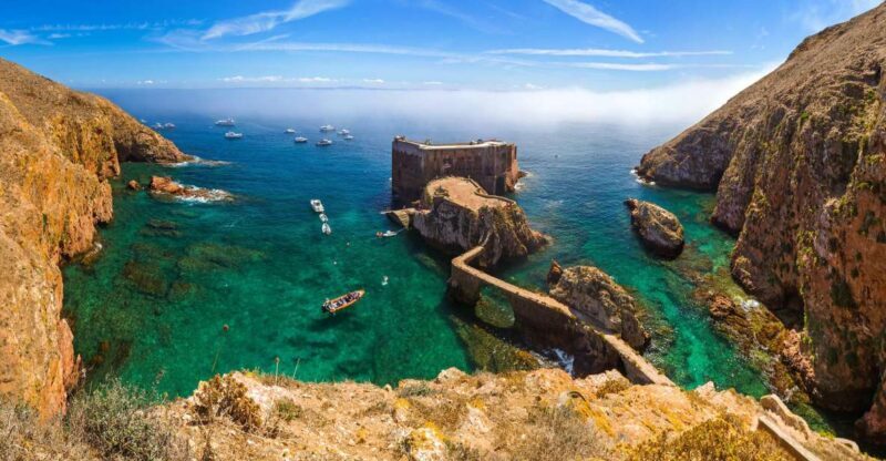 From Lisbon: Berlenga Grande Island Private Tour - An In-Depth Look at the Experience