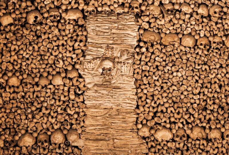 From Lisbon: Évora + Chapel of Bones + Monsaraz + Alentejo Wines - The Medieval Charm of Monsaraz  