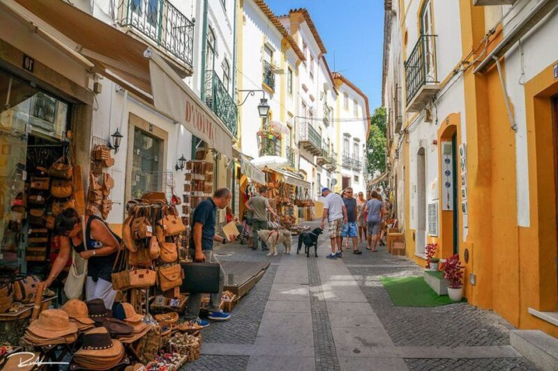 From Lisbon: Évora City Private Tour - The Sum Up: Who Is This Tour For?