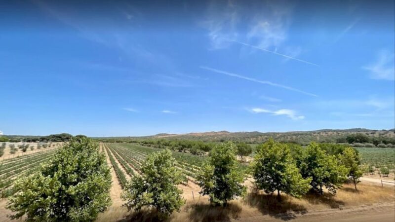 From Lisbon: Évora, Monsaraz, Wine Tasting & Cristo Rei - Exploring the Best of Alentejo: From Lisbon to Évora, Monsaraz, Wine Tasting & Cristo Rei