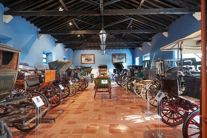 From Lisbon: Évora, Monsaraz, Wine Tasting & Cristo Rei - Authentic Experiences and Reviewer Insights