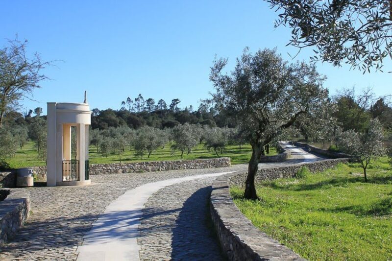 From Lisbon: Fatima Sanctuary Private Day Tour - Practical Aspects: What Makes This Tour Stand Out