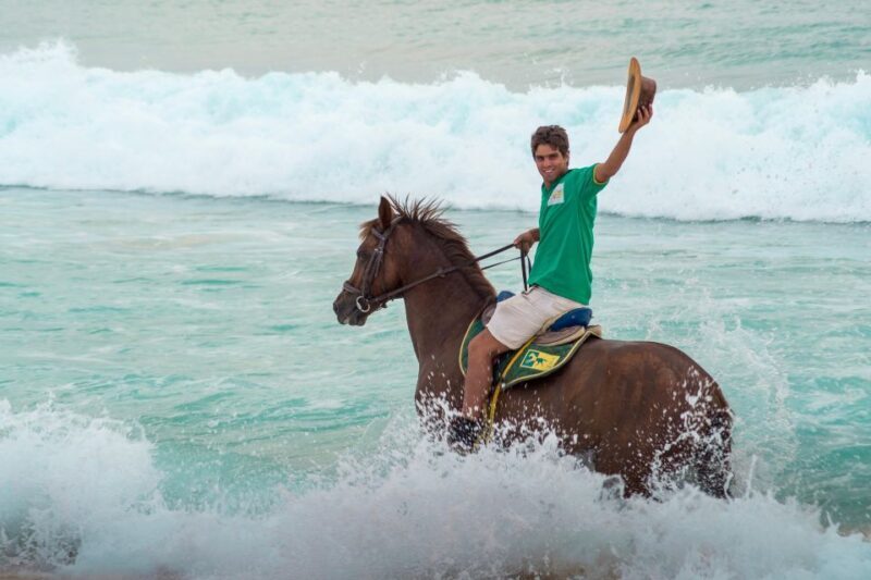 From Lisbon: Horseback Riding on Comporta Beach - Final Thoughts: Is It Worth It?