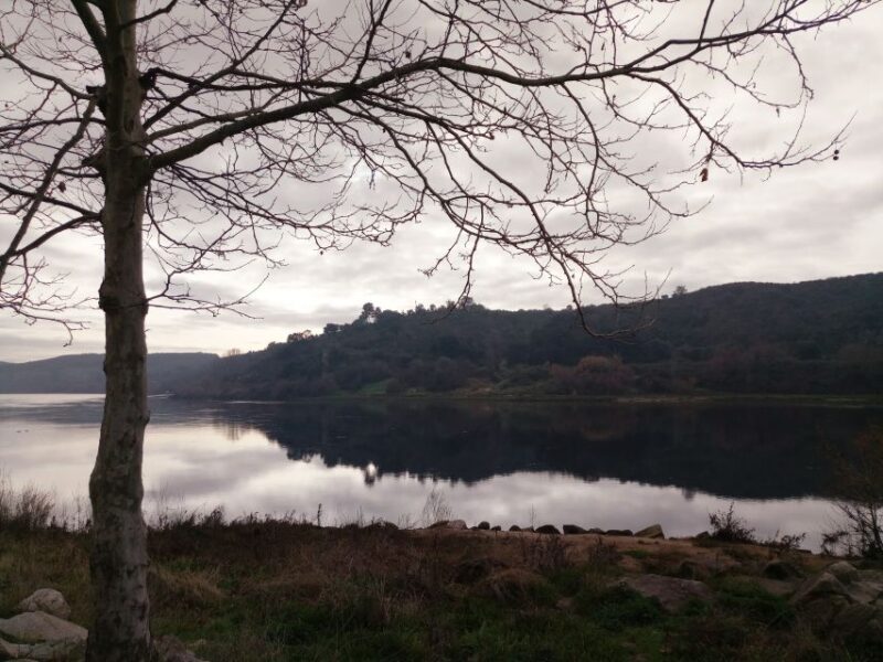 From Lisbon: Knights Templar - Tomar Private Tour - Key Points