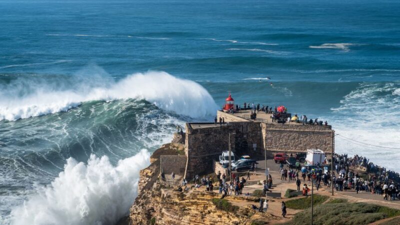 From Lisbon: Private Óbidos and Nazaré Tour - Final Thoughts
