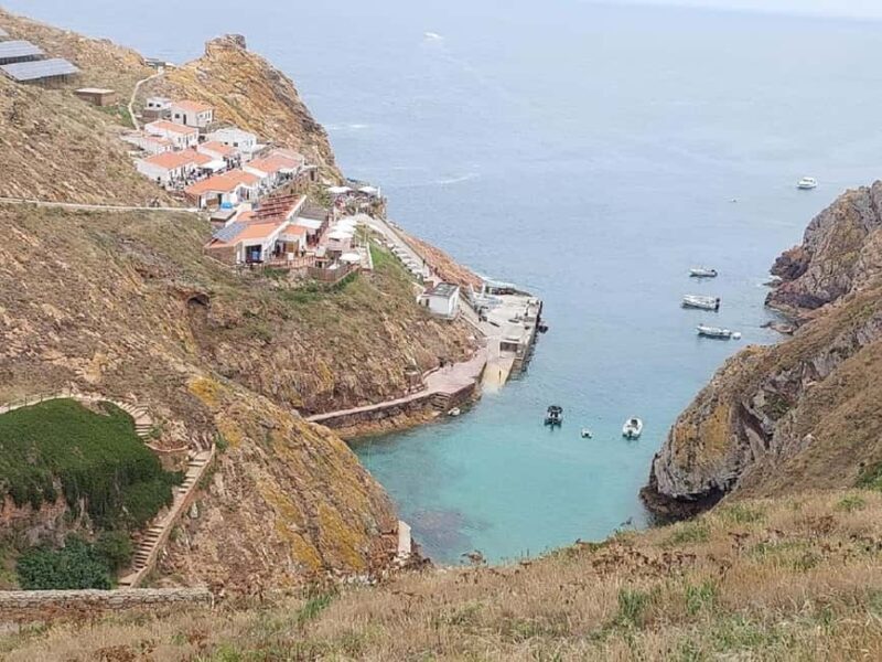 From Lisbon : Round trip to Peniche, Berlengas. - Who Will Love This Tour?