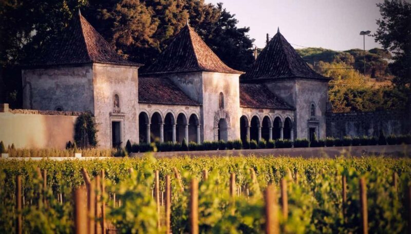 From Lisbon: Serra da Arrábida, Sesimbra, and Setúbal Wines - Key Points