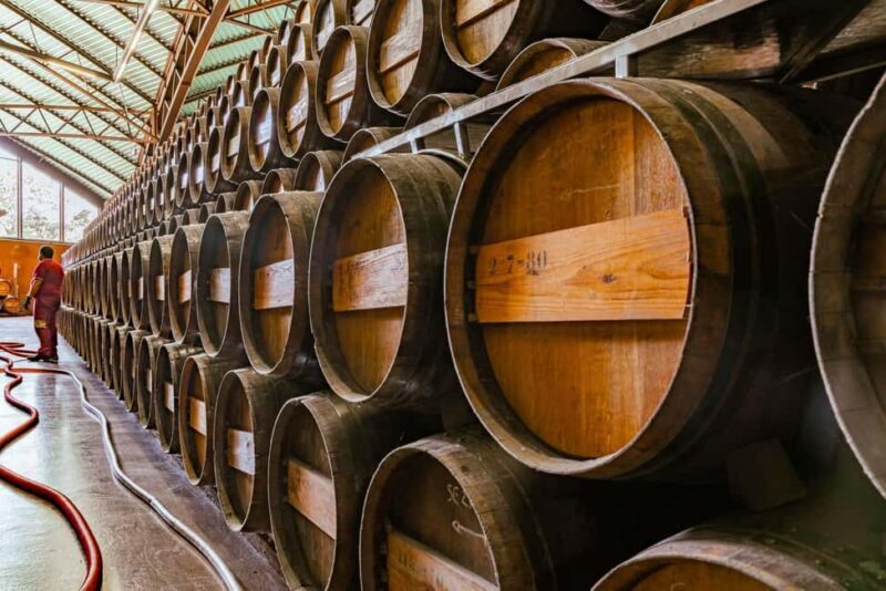 From Lisbon: Serra da Arrábida, Sesimbra, and Setúbal Wines - Final Thoughts