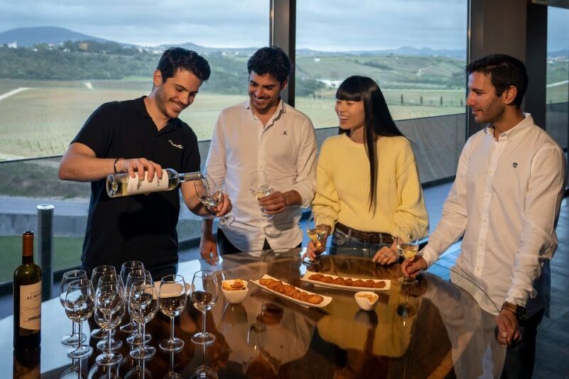 From Lisbon: Sintra & Pena Palace Day Trip with Wine Tasting - The Sum Up