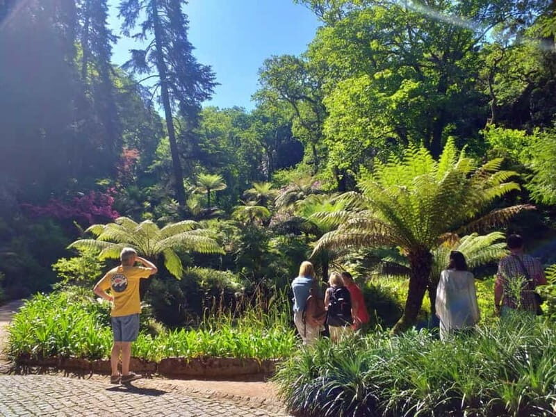 From Lisbon: Sintra's Historical and Natural Gems - Final Thoughts: Is This Tour for You?