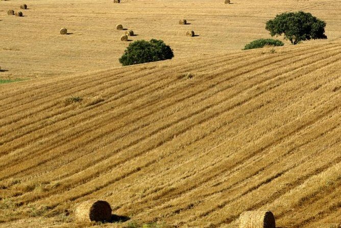 From Lisbon to Alentejo: Évora and Megaliths Full-Day Group Tour - Key Points
