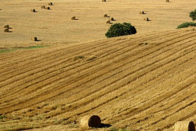 From Lisbon to Alentejo: Évora and Megaliths Full-Day Tour - Introduction: What this tour offers