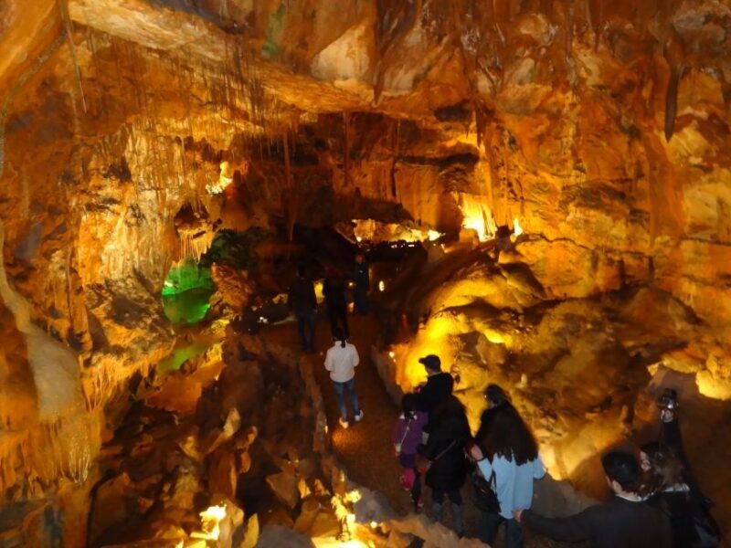 From Lisbon: Tomar Templar Full-Day Private Tour - Key Points