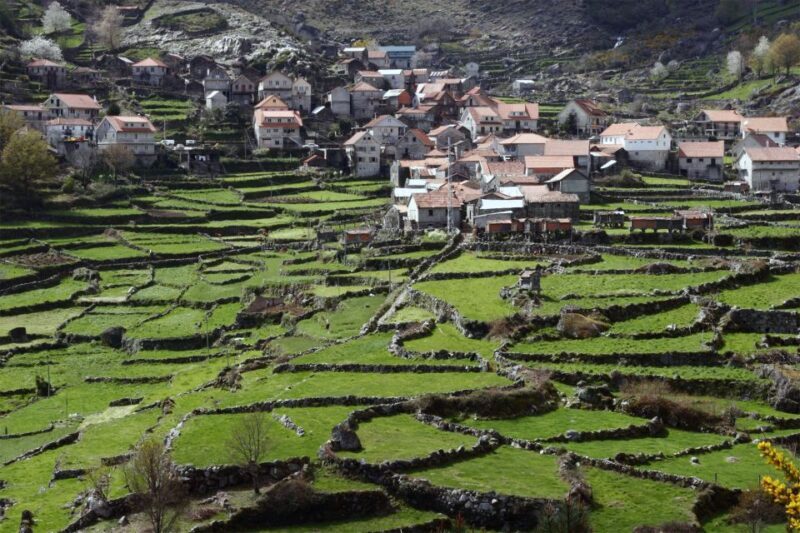 From Lisbon: Tomar Templar Full-Day Private Tour - Who Will Love This Tour?